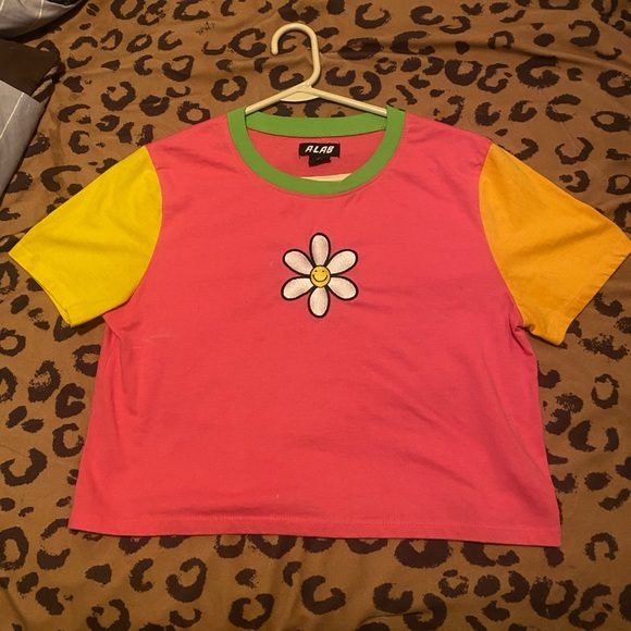 Tops | Color Block Cropped Tee With Smiling Flower | Poshmark